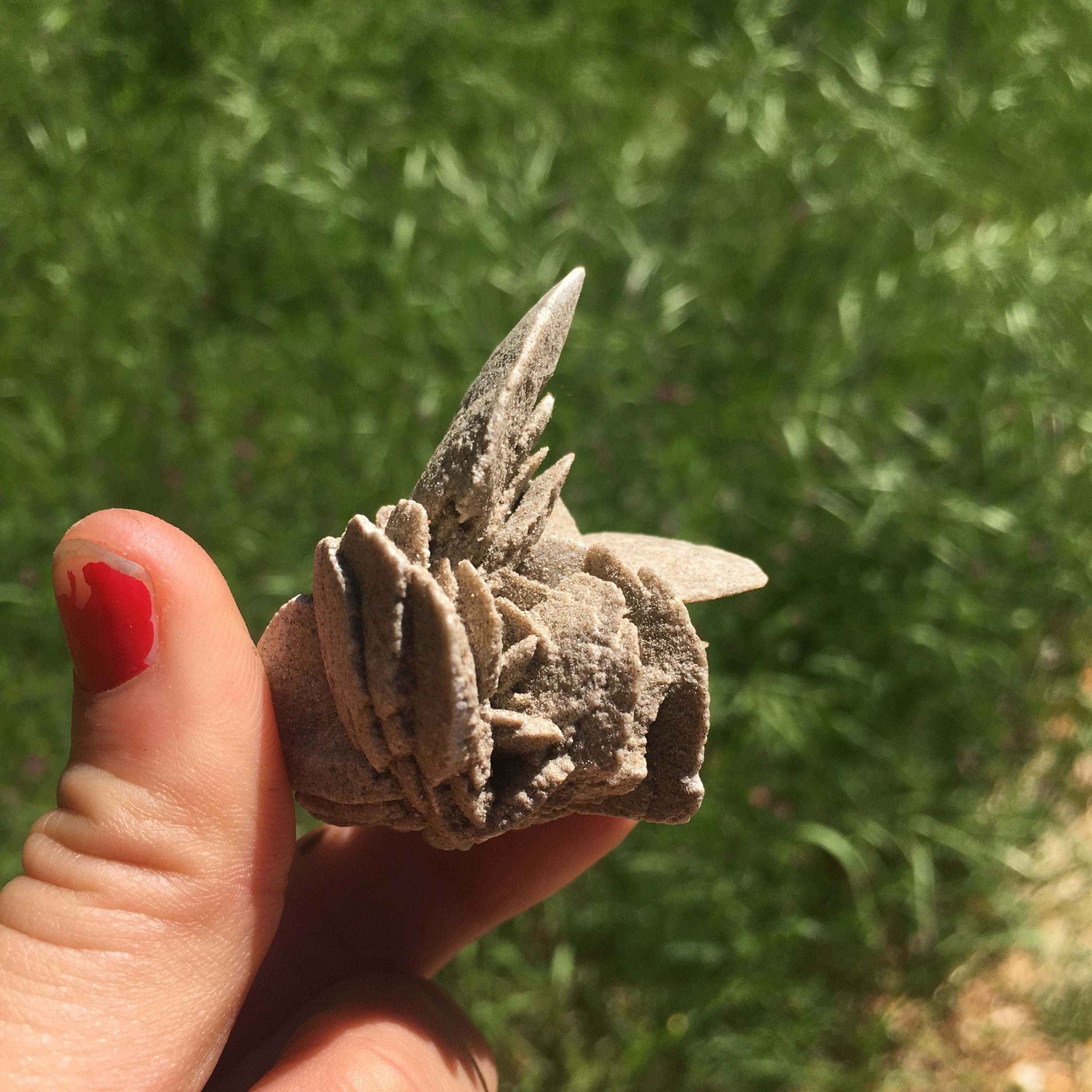 Rose Barite/ Desert Sand Gypsum/ Selenite - Etsy