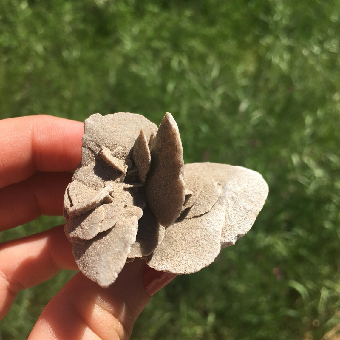 Rose Barite/ Desert Sand Gypsum/ Selenite - Etsy