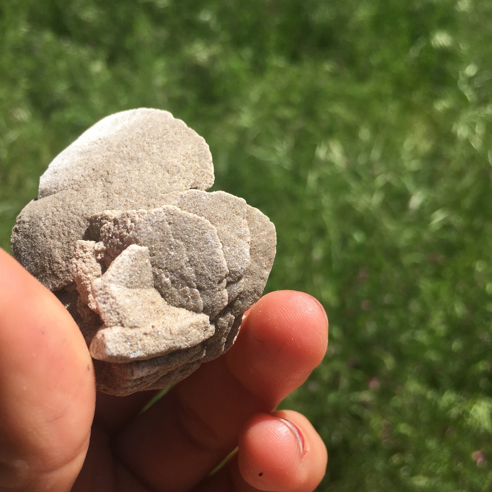 Rose Barite/ Desert Sand Gypsum/ Selenite - Etsy