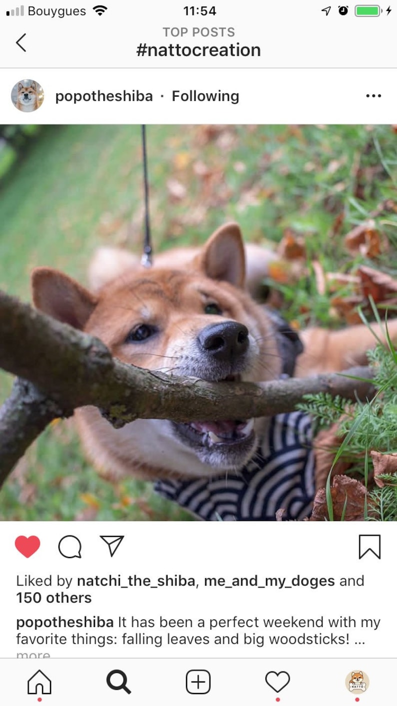 Shiba Inu Chien Bandana Au Motif Japonais 清海波 SEIGAIHA Double Face - Etsy