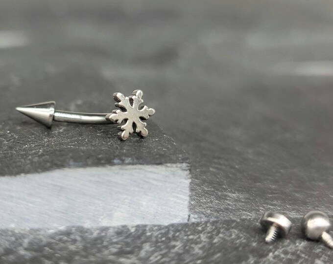Snowflake Titanium Internally Threaded Minimalist Rook Earring, Implant ...