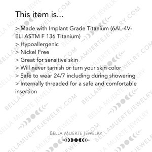 16g 14g Titanium Internally Threaded Long Spike Rook Earring, Implant ...