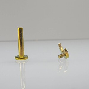 Moon Crescent 14g Dermal Labret Top Jewelry Earring Conch Helix Tragus ...