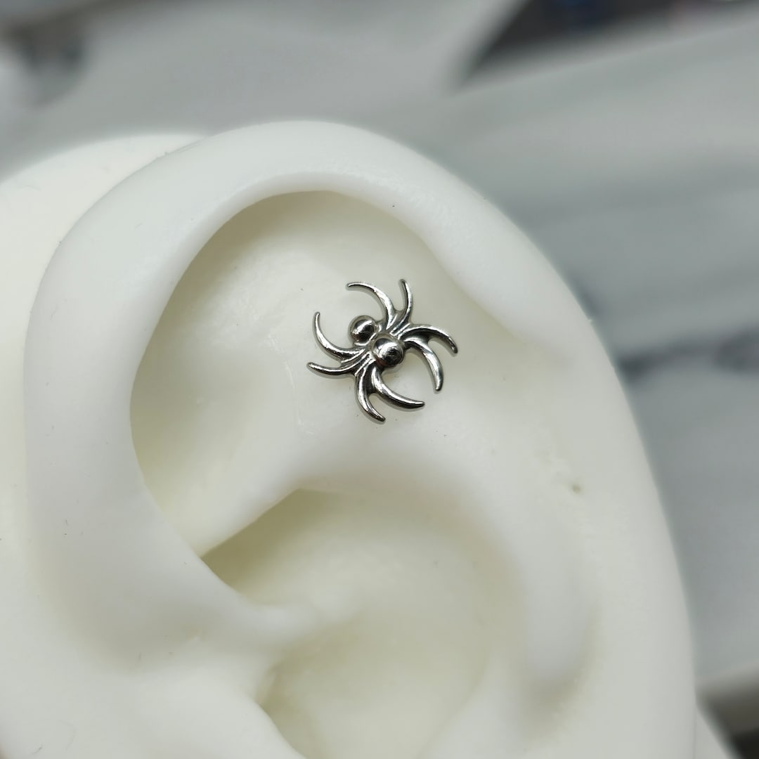 16g | Silver Spider Labret in 6al-4v-eli Titanium, Cartilage Conch Flat ...