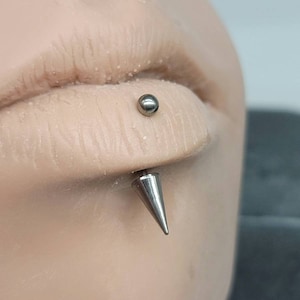 16g 14g Titanium Internally Threaded Long Spike Rook Earring, Implant ...