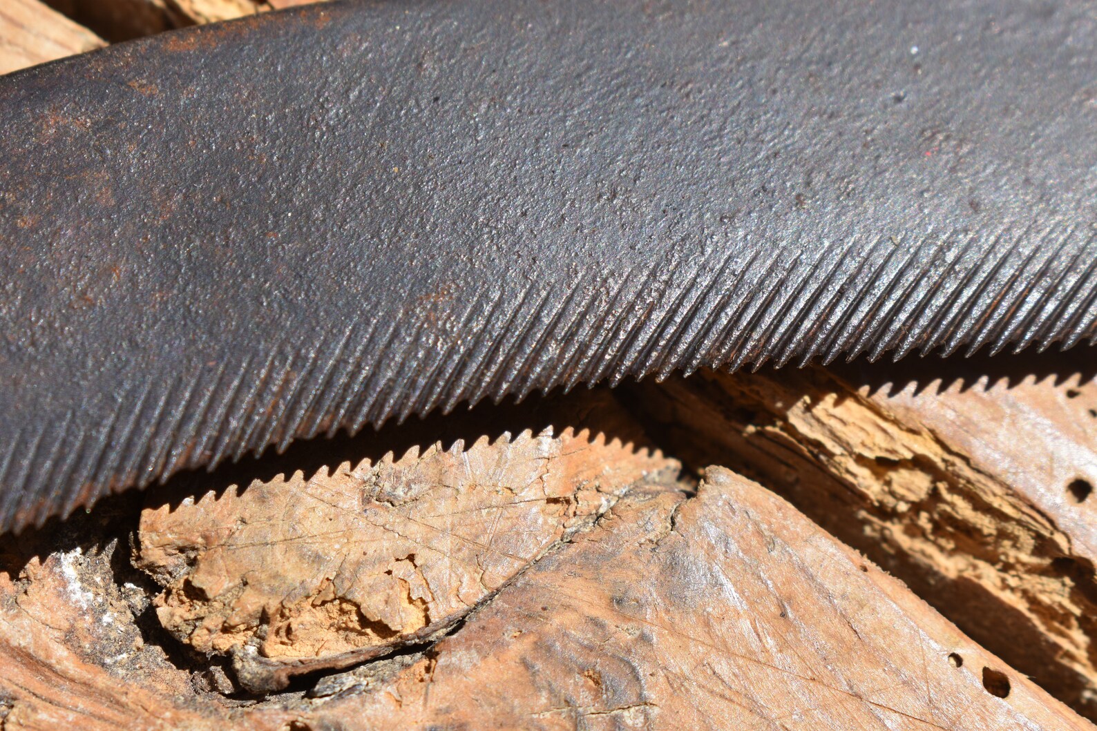 4 Pieces of Antique Sickles Primitive Sickles Old Sickles - Etsy