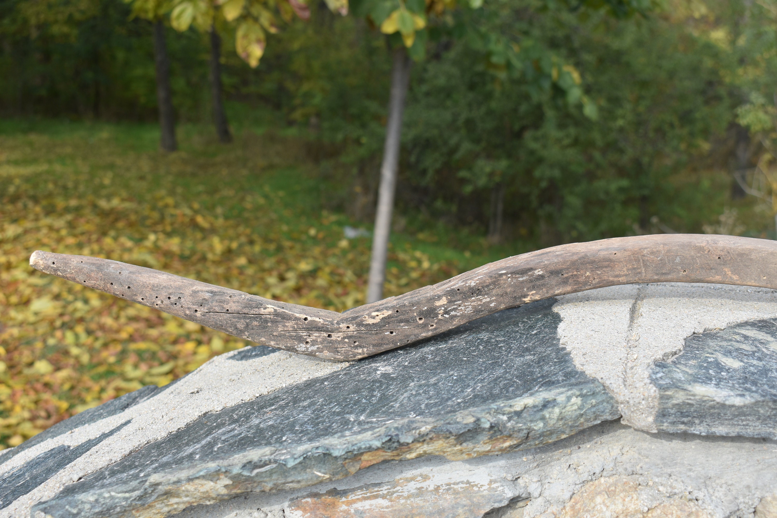 Antique Wooden Yoke Vintage Wooden Yoke Old Wooden Yoke | Etsy
