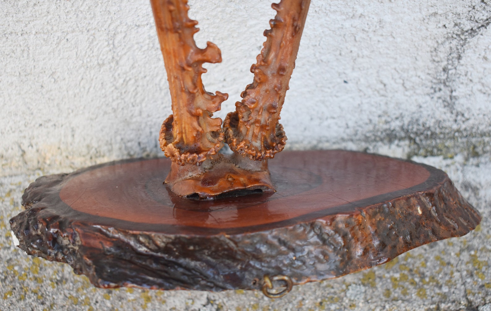 Roe deer horns Natural horns True roe deer horns Natural | Etsy