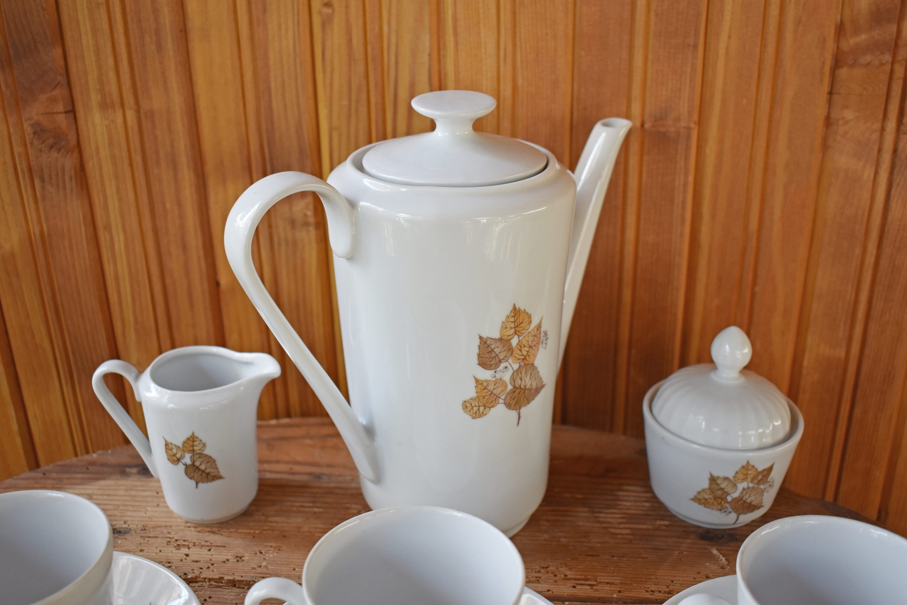 Vintage Bavarian Porcelain Vintage Coffee / Tea Set KAHLA - Etsy