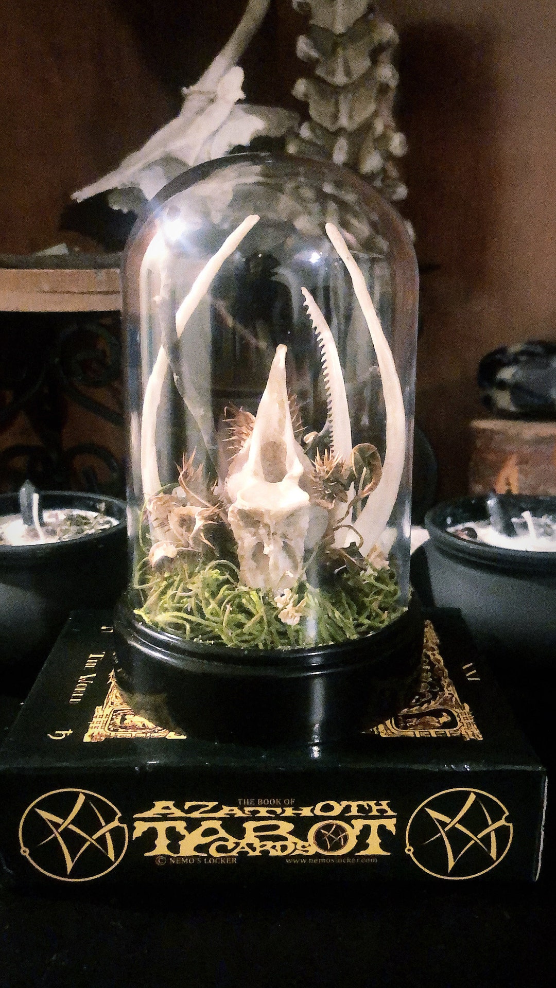 Spirit Terrarium - Animal Bones & Datura With Lily of the Valley in ...