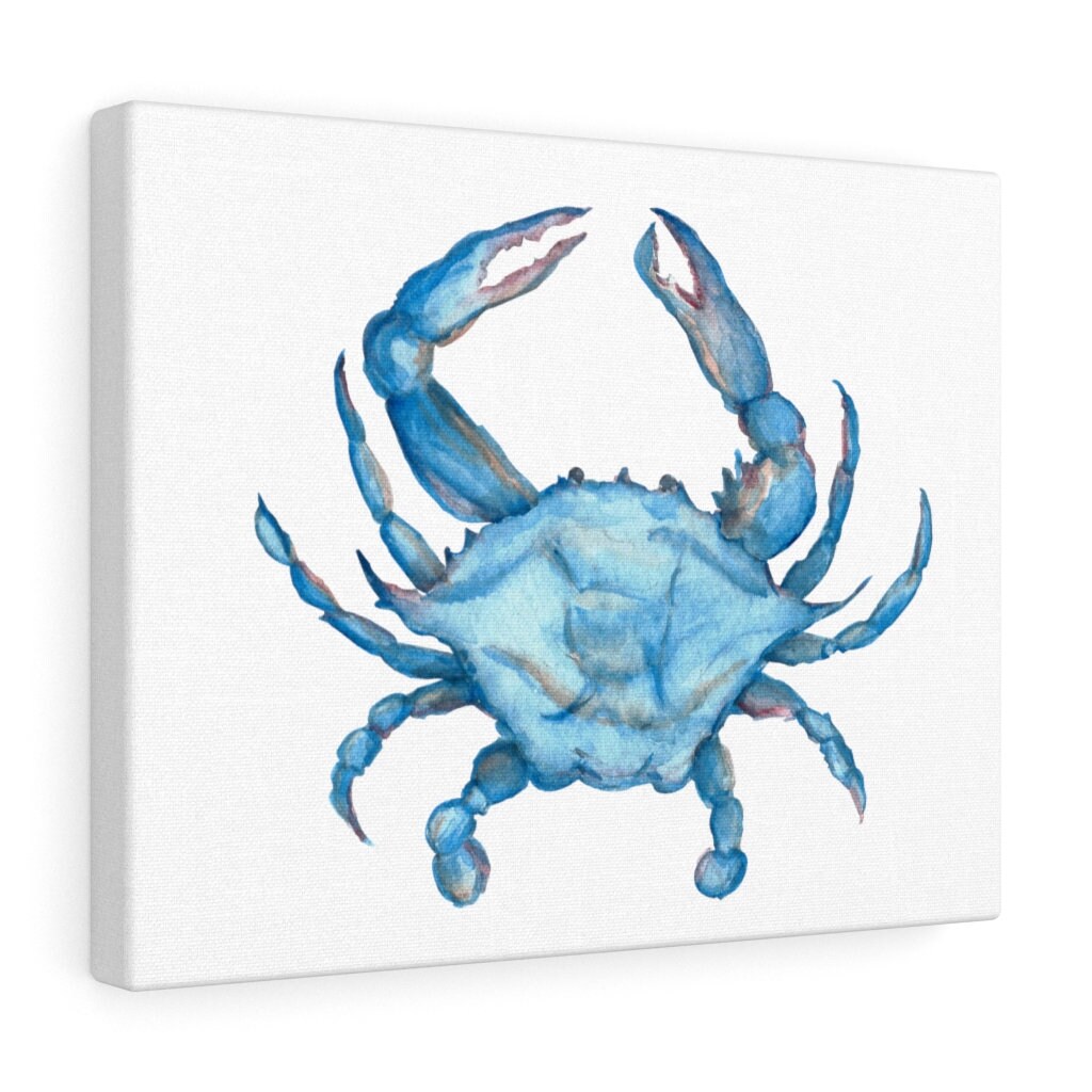 Baby Blue Crab