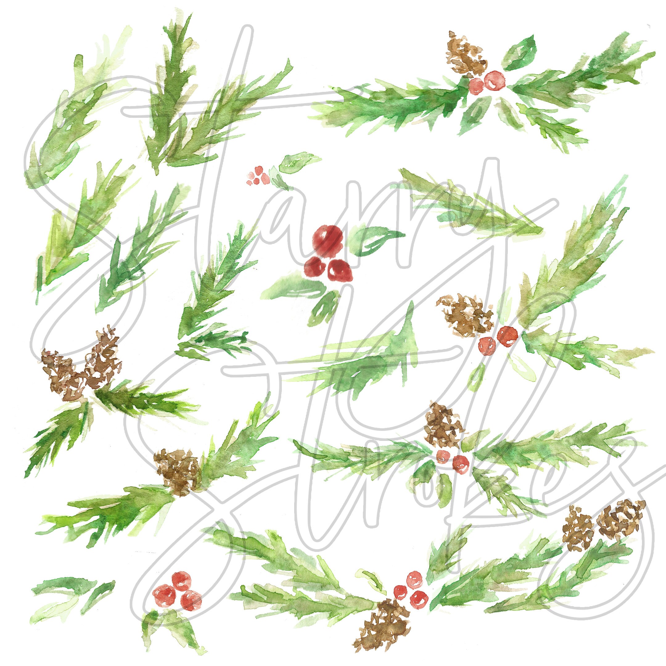 Winter Pine Christmas Clip Art Digital Download - Etsy