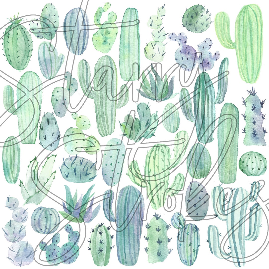 Cactus Watercolor Clip Art Digital Download - Etsy