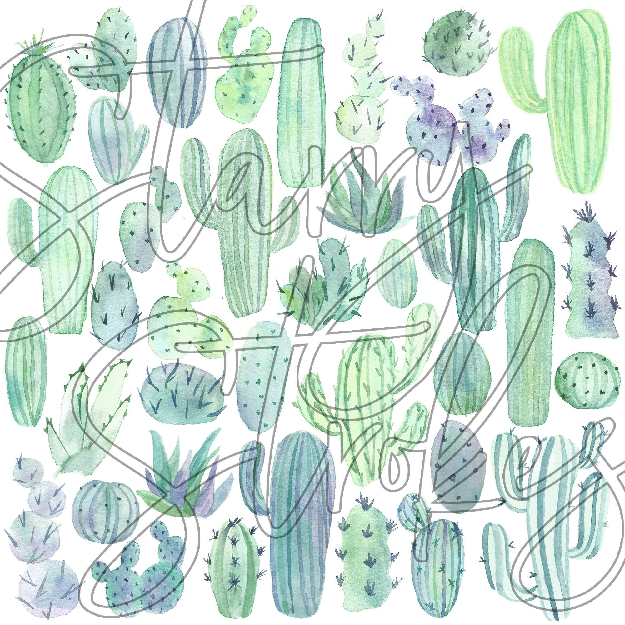 Cactus Watercolor Clip Art Digital Download - Etsy