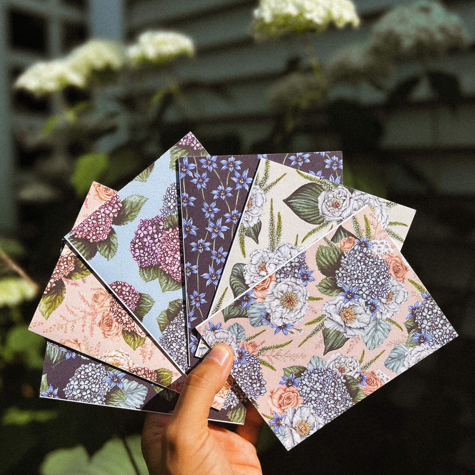 Summer in Cape Cod Blush Rose Greeting Card - Etsy