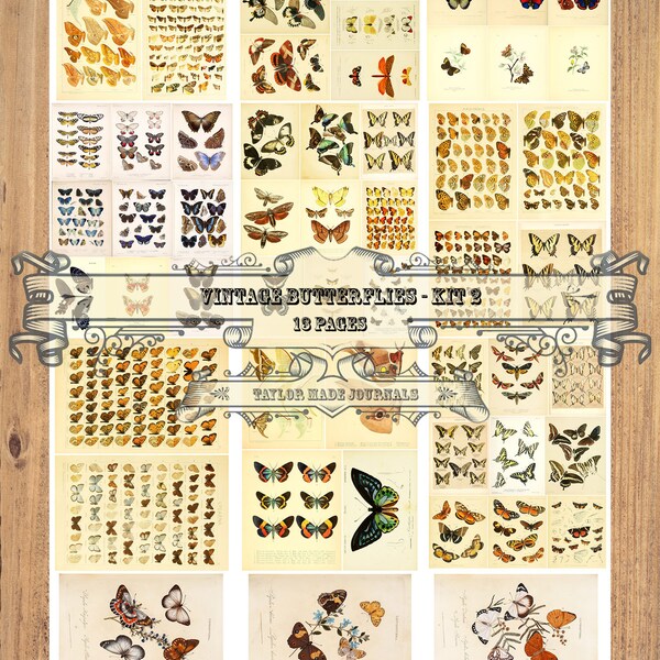 Butterfly Ephemera - Etsy