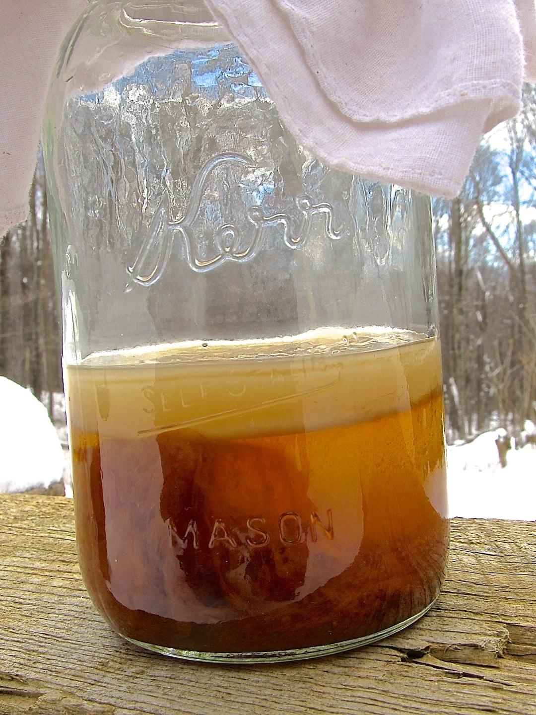 Organic Kombucha STARTER TEA / CULTURE With Scoby - Etsy