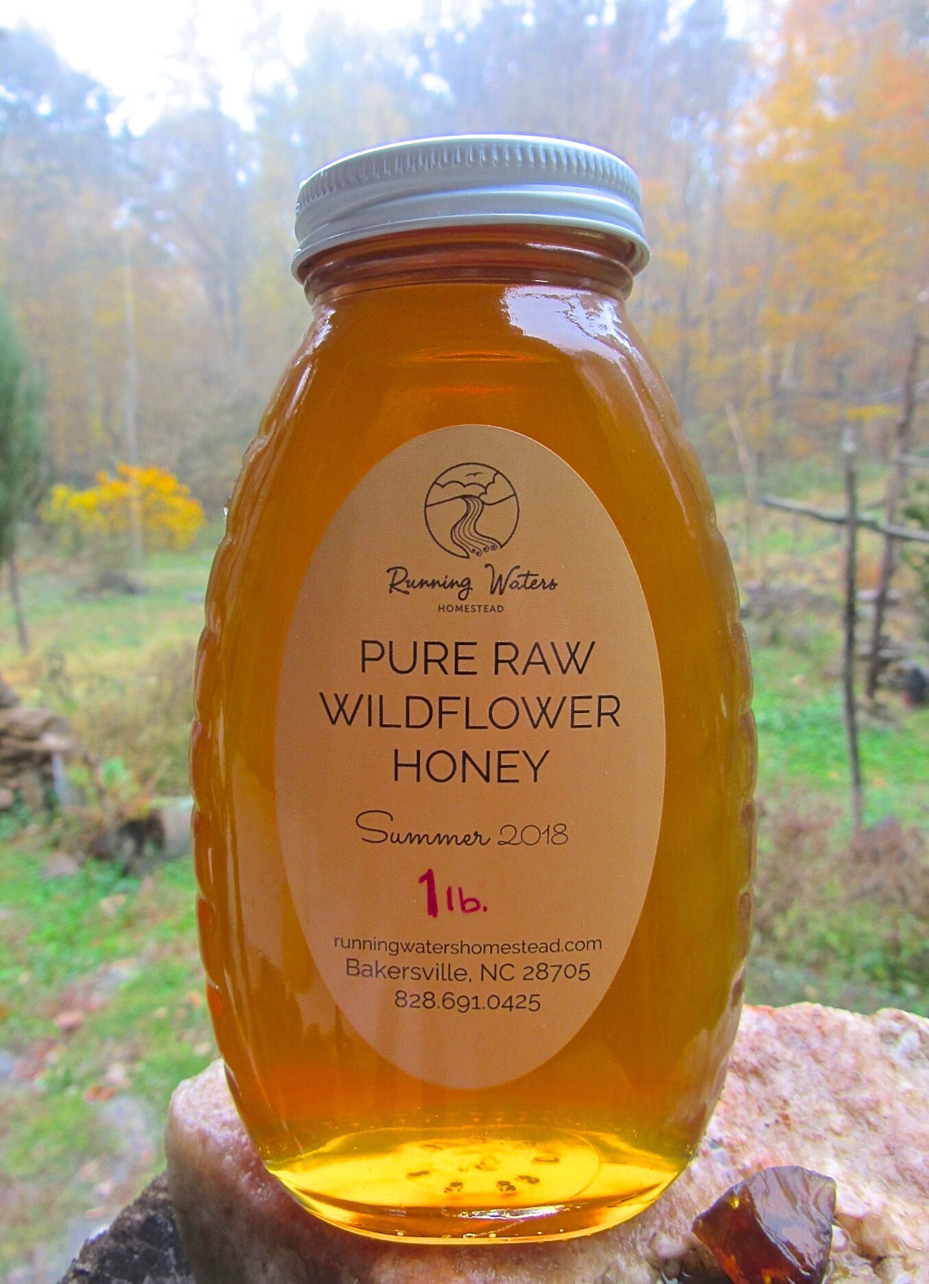 Organic Jun STARTER TEA / CULTURE With Scoby | Etsy