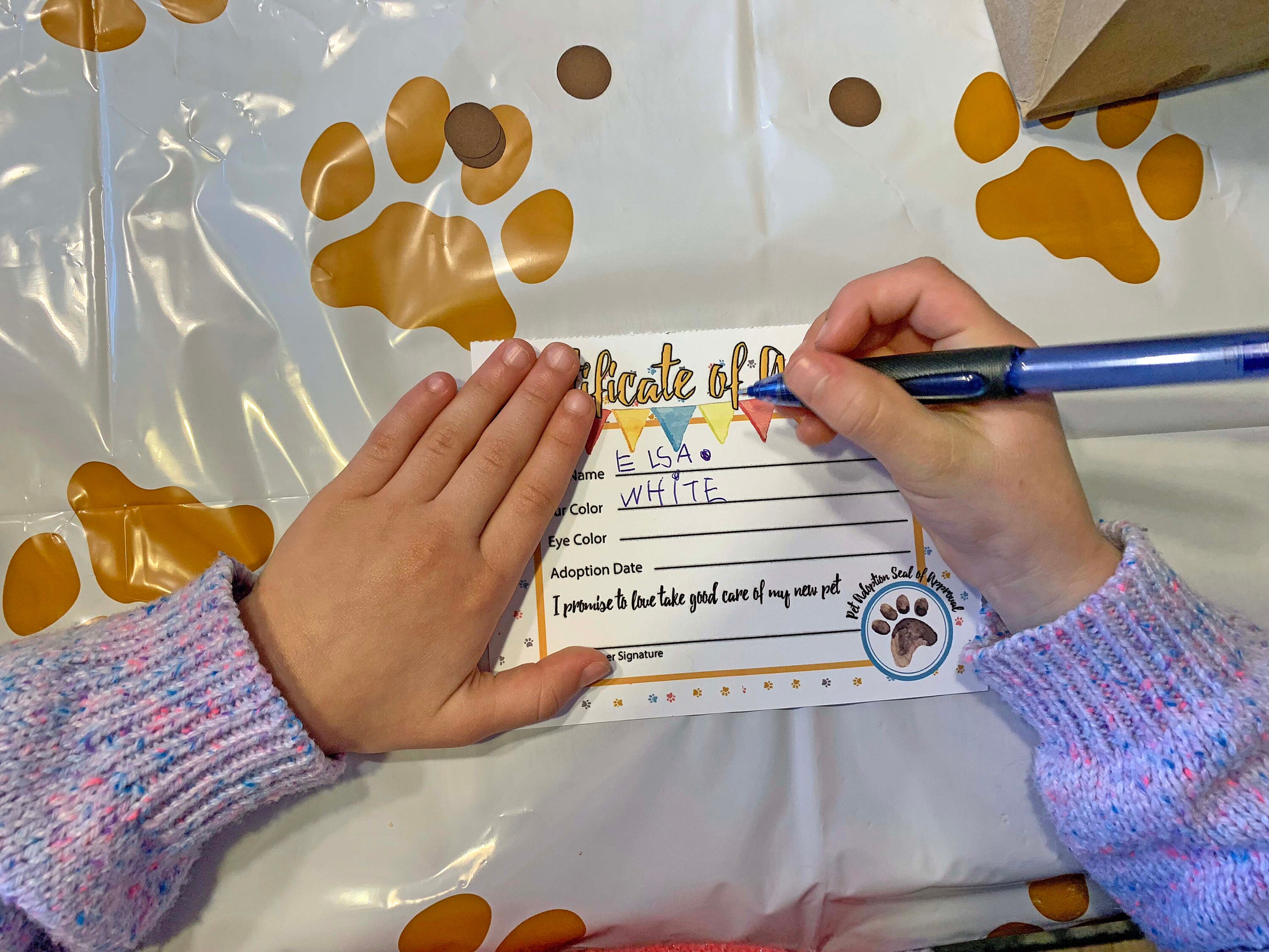 Puppy Pawty Puppy Adoption Kit Dog Birthday Party Let's | Etsy