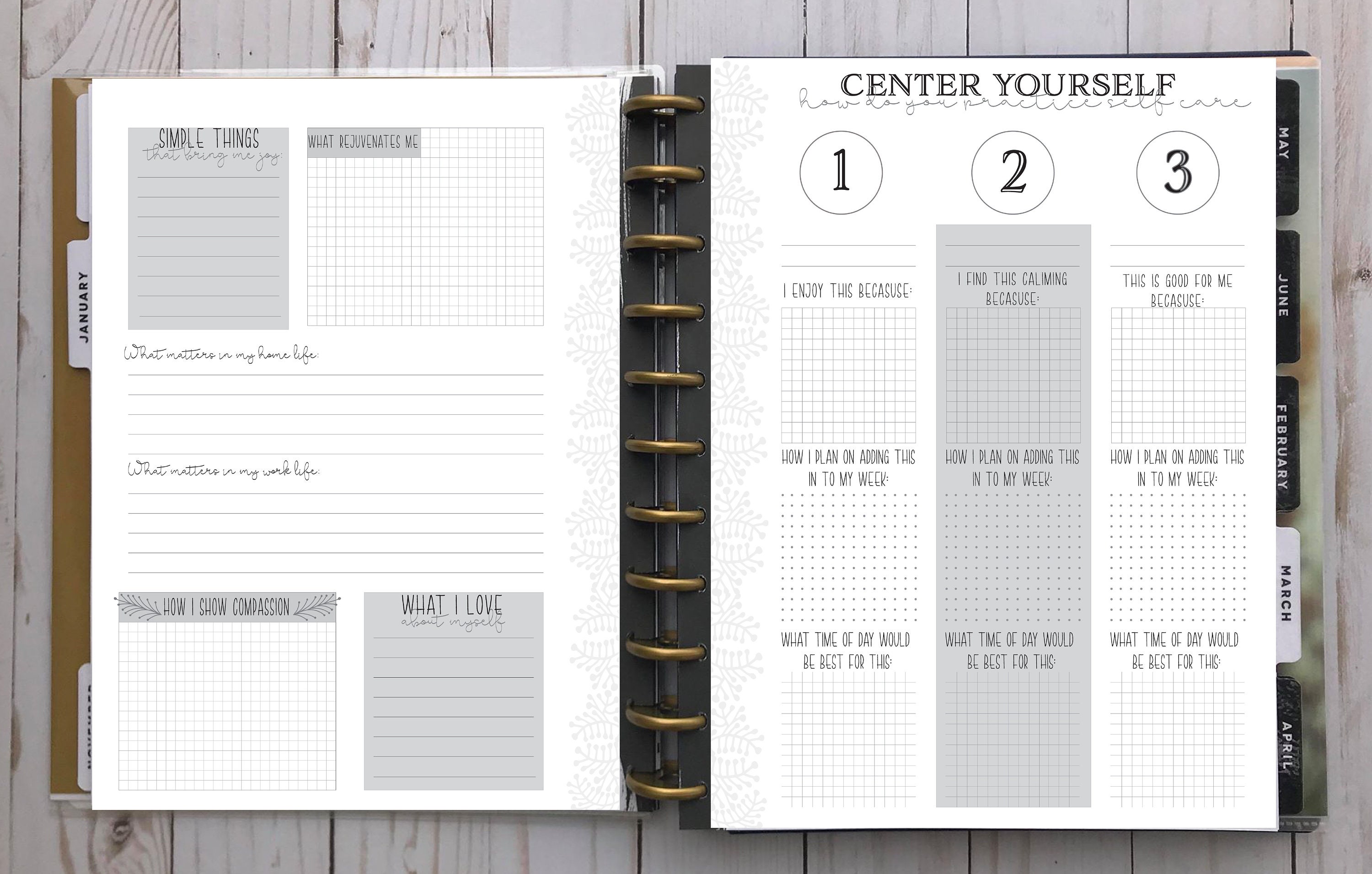 Happy Planner Printable BIG Size Wellness Full Expansion | Etsy