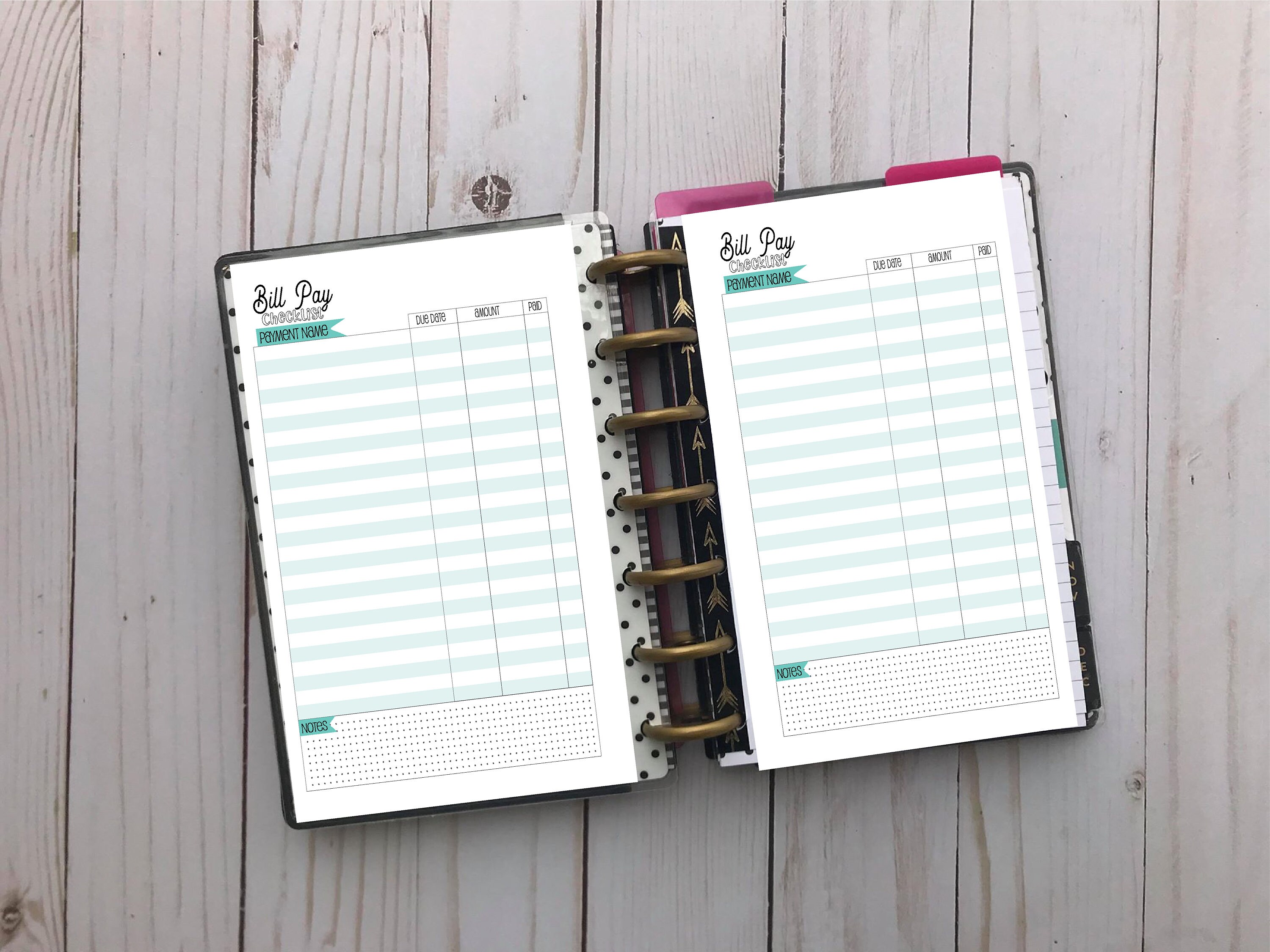 Happy Planner - MINI Size - Budget Printable - Full Extension Pack - Etsy