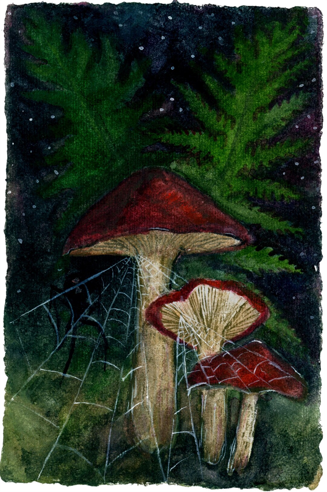 Widow Web Mushroom Abode Art Print From Original Watercolor - Etsy