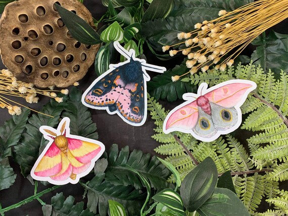 Pink Moths Sticker Set | Etsy