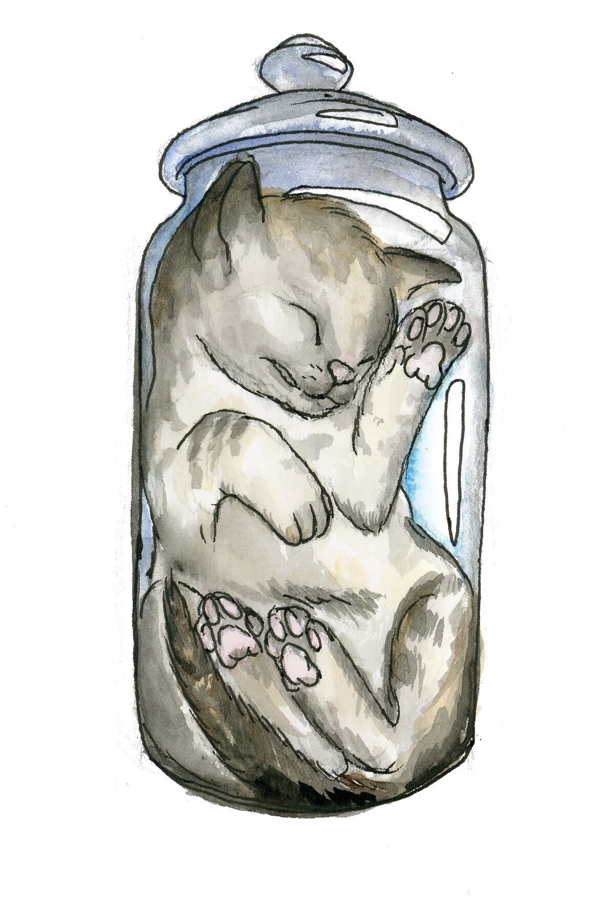 Kitten Wet Specimen Giclee Print - Etsy