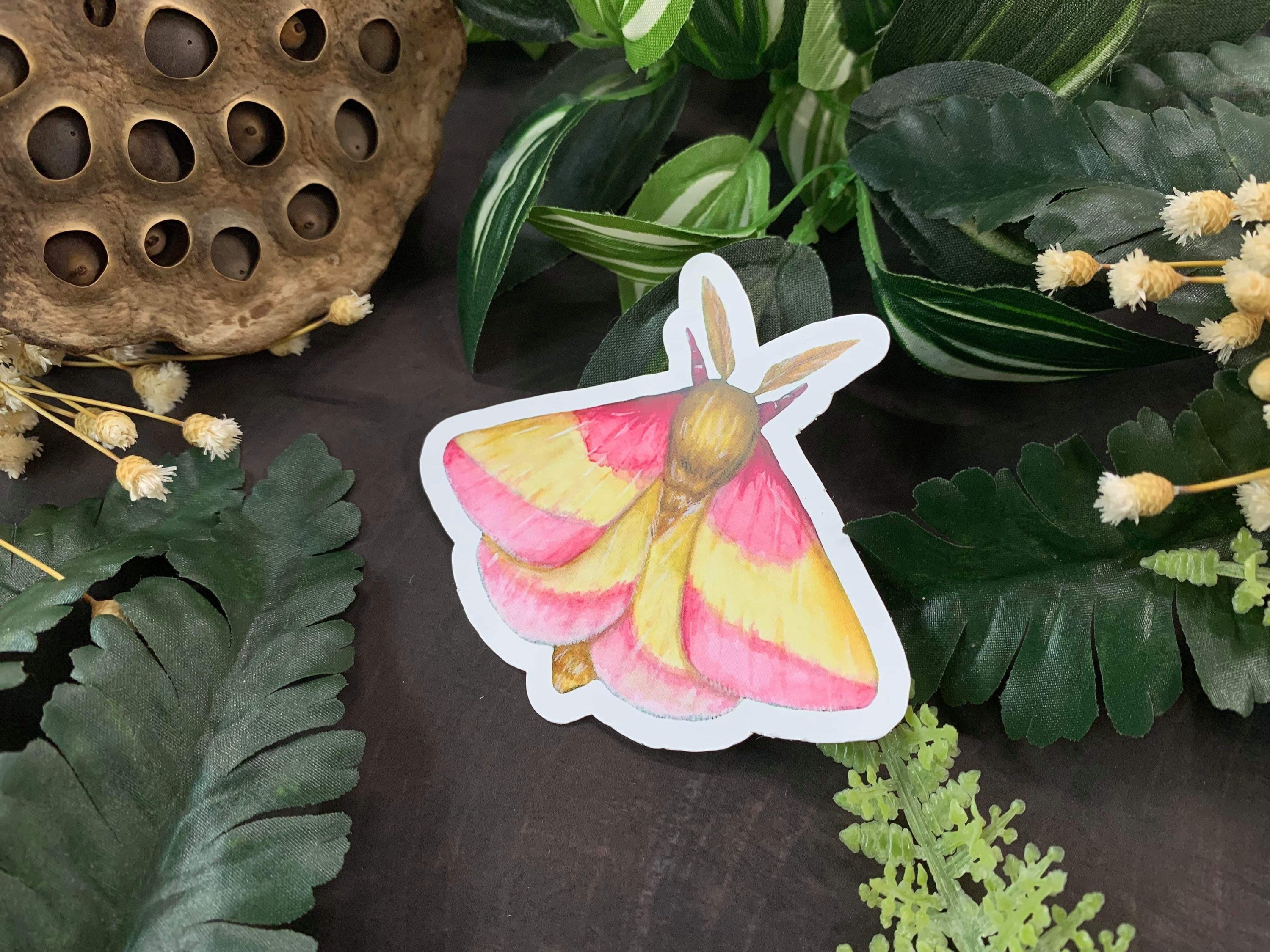 Pink Moths Sticker Set | Etsy