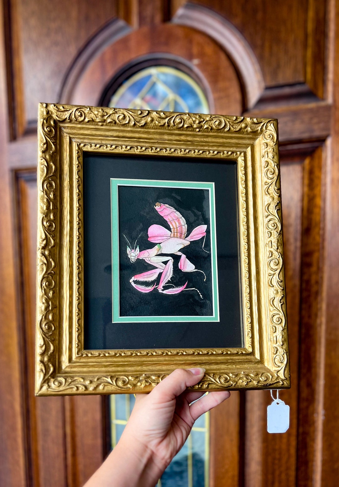 Orchid Mantis in the Void Origin Watercolor and Ink Painting - Etsy