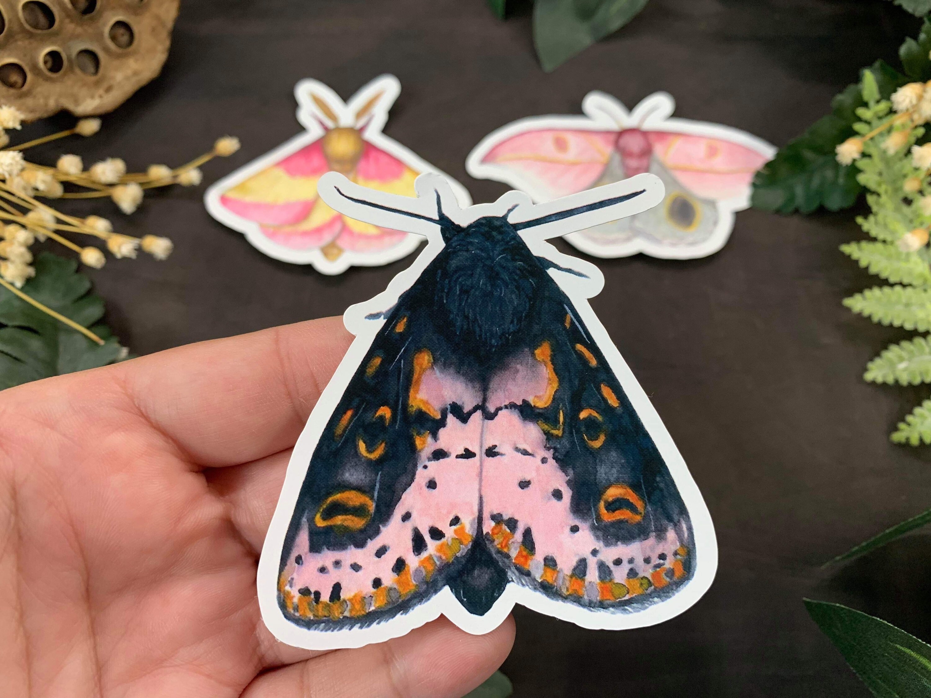 Pink Moths Sticker Set - Etsy