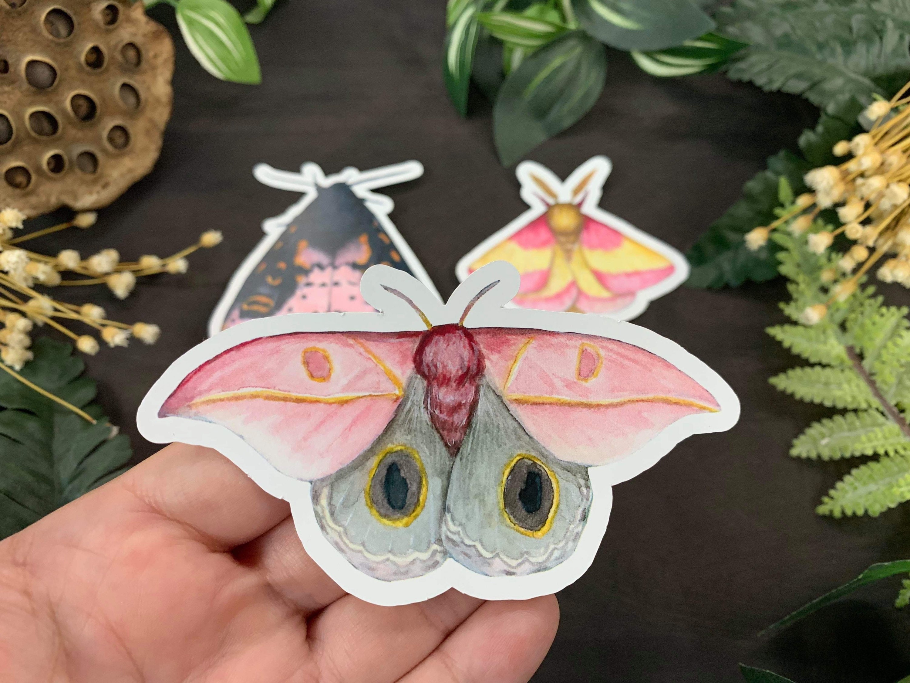 Pink Moths Sticker Set - Etsy