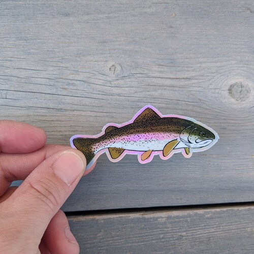 Rainbow Trout Fishing Sticker Decal | Etsy