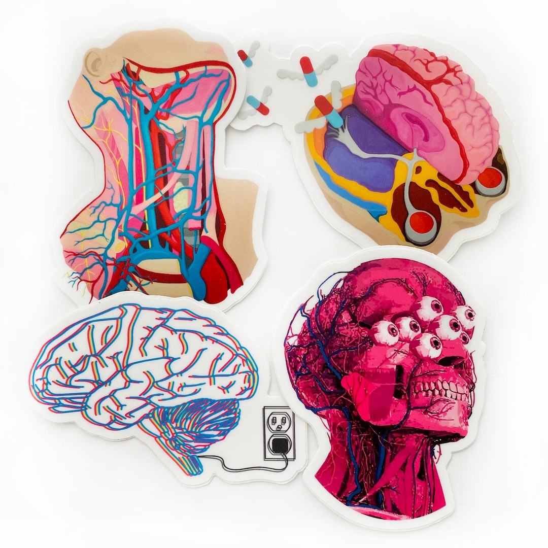 Anatomy Sticker Pack | Anatomical Stickers | Anatomy Art | Medical ...