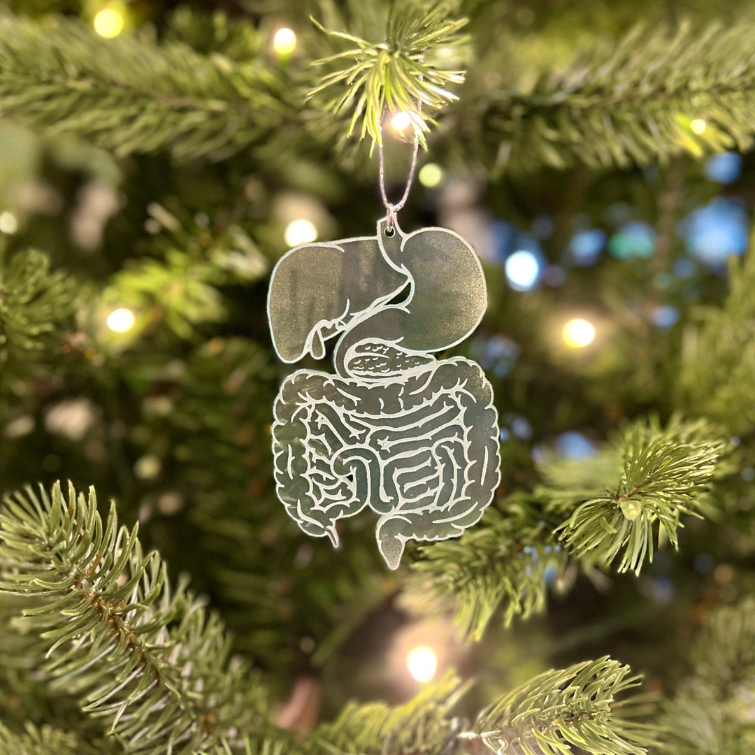 Digestive System Ornament | Clear or Frosted Laser-cut Acrylic ...