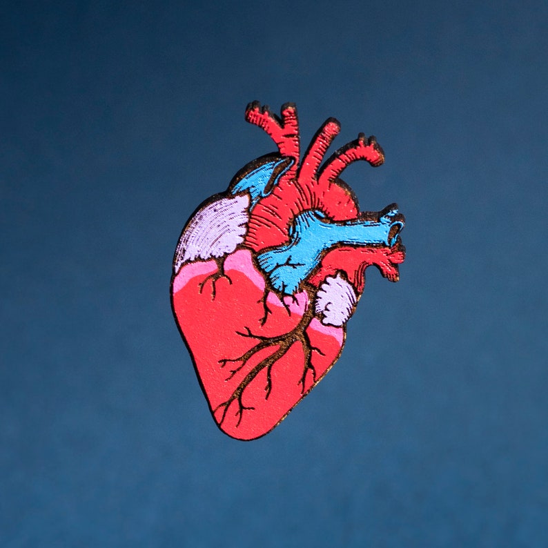 Hand Painted Anatomical Heart Pin Laser Cut Wood Pin - Etsy