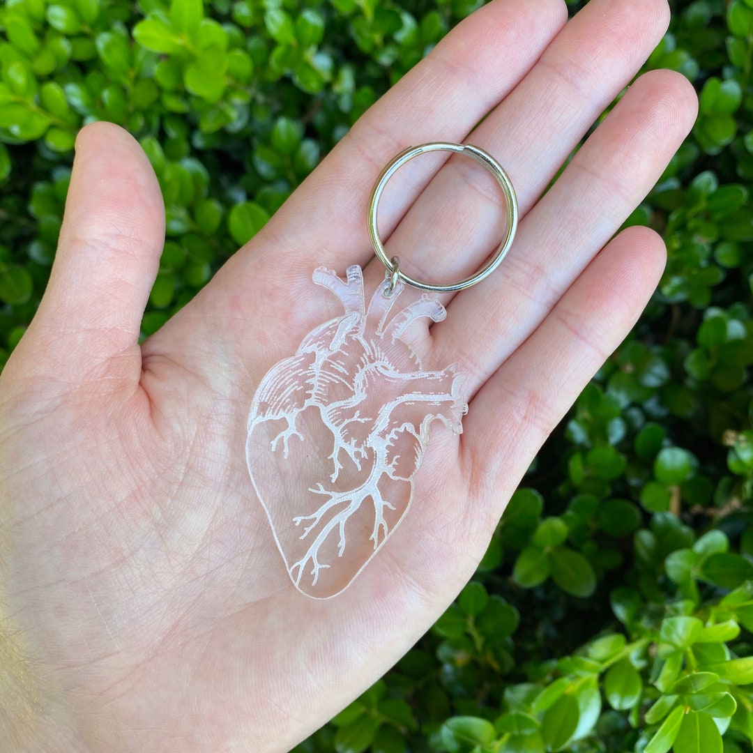 Anatomical Heart Keychain | Clear Acrylic | Medical Keychain | Anatomy ...