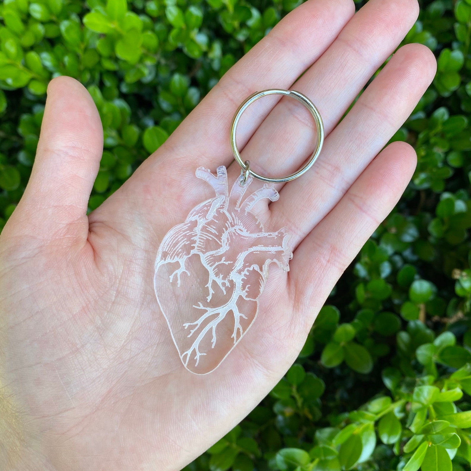 Anatomical Heart Keychain Clear Acrylic Medical Keychain - Etsy