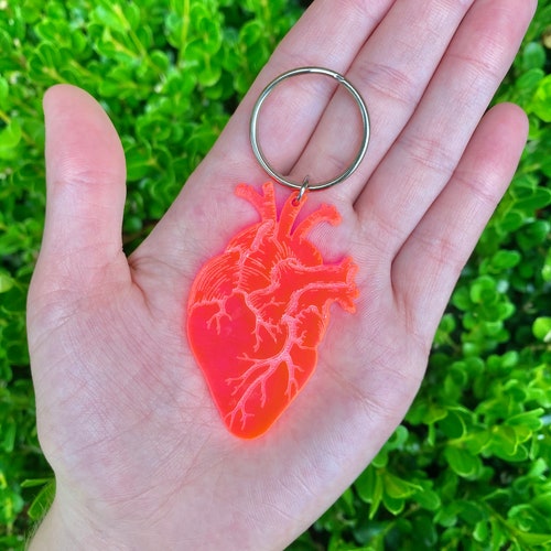 Anatomical Heart Keychain Clear Acrylic Medical Keychain | Etsy