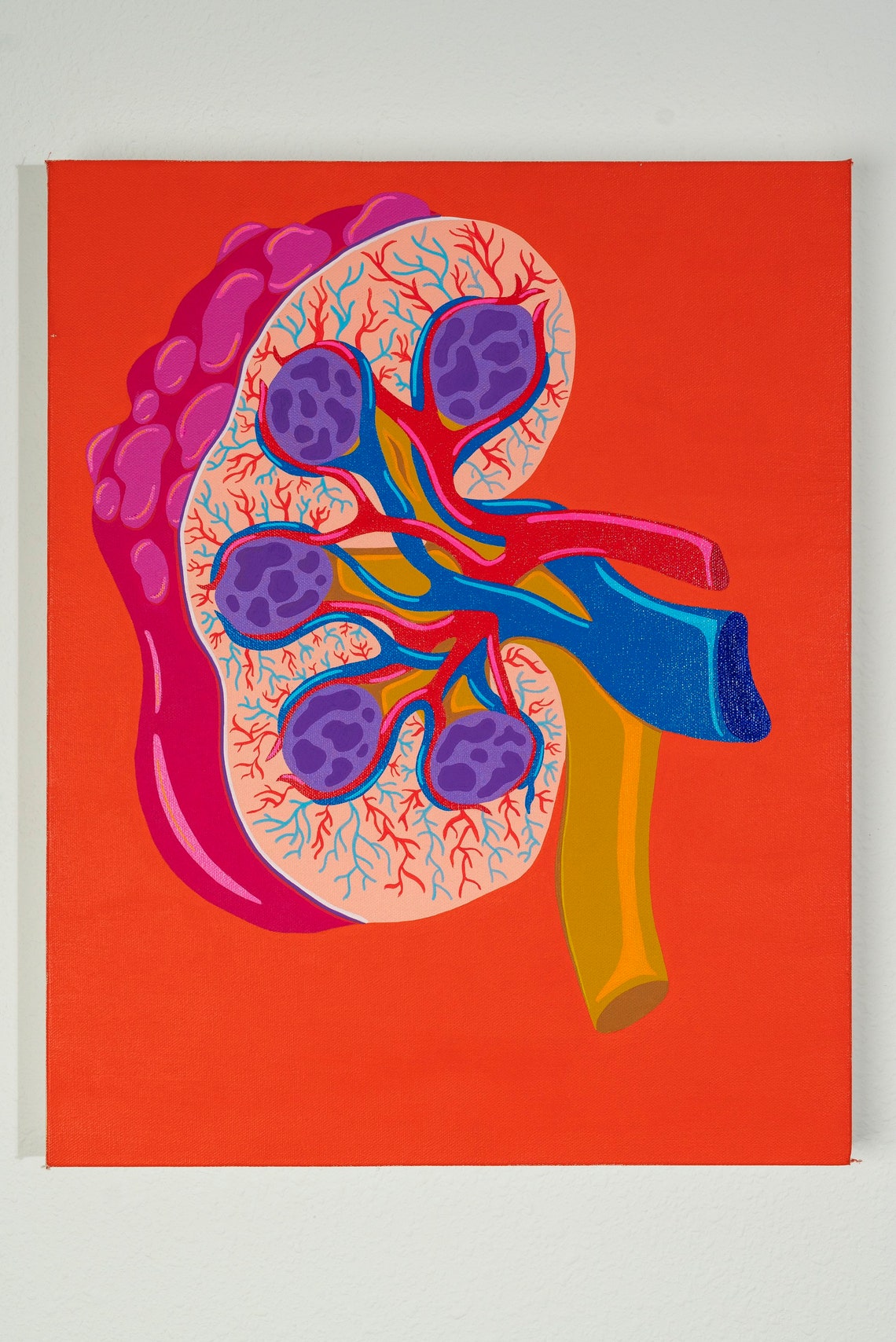 Anatomical Kidney Painting Print Framed Print Anatomy Art | Etsy