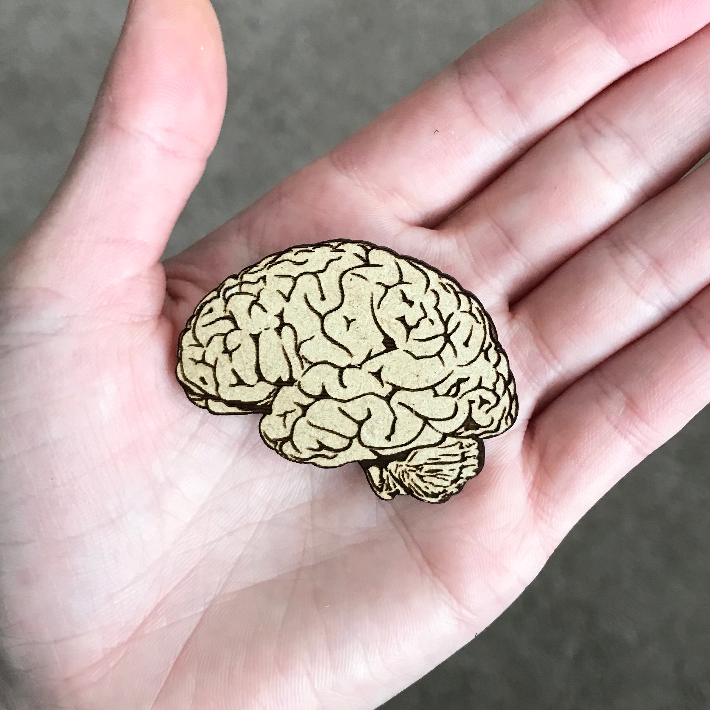 Hand Painted Brain Pin Laser Cut Wood Pin Anatomical Art - Etsy
