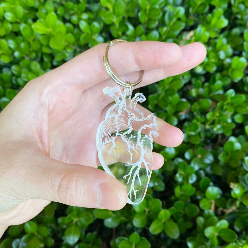 Anatomical Heart Keychain Clear Acrylic Medical Keychain | Etsy