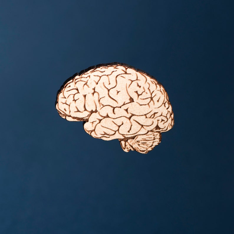 Hand Painted Brain Pin Laser Cut Wood Pin Anatomical Art - Etsy