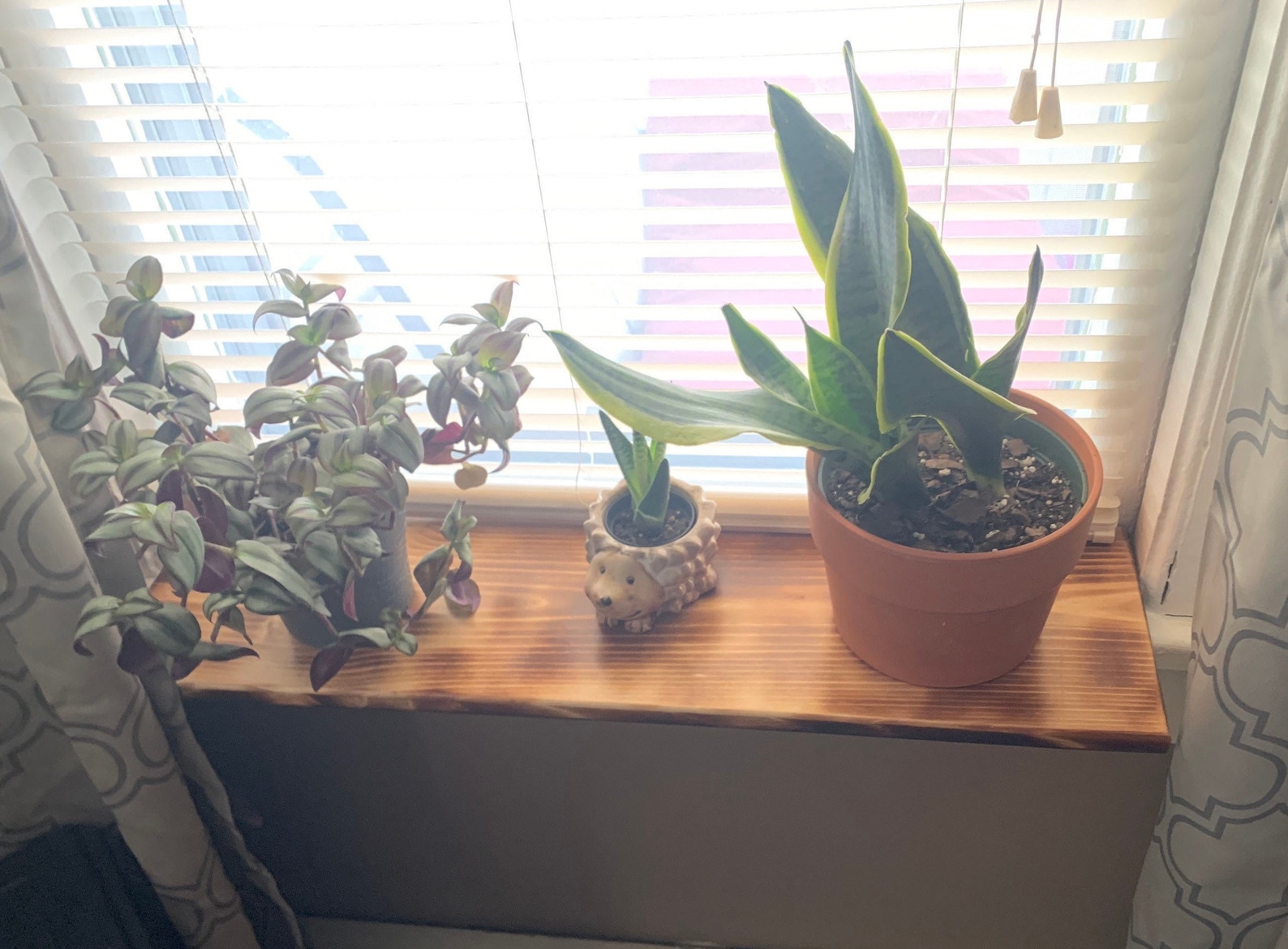 Plant Shelf for Window Sill Window Sill Shelf Farmhouse - Etsy