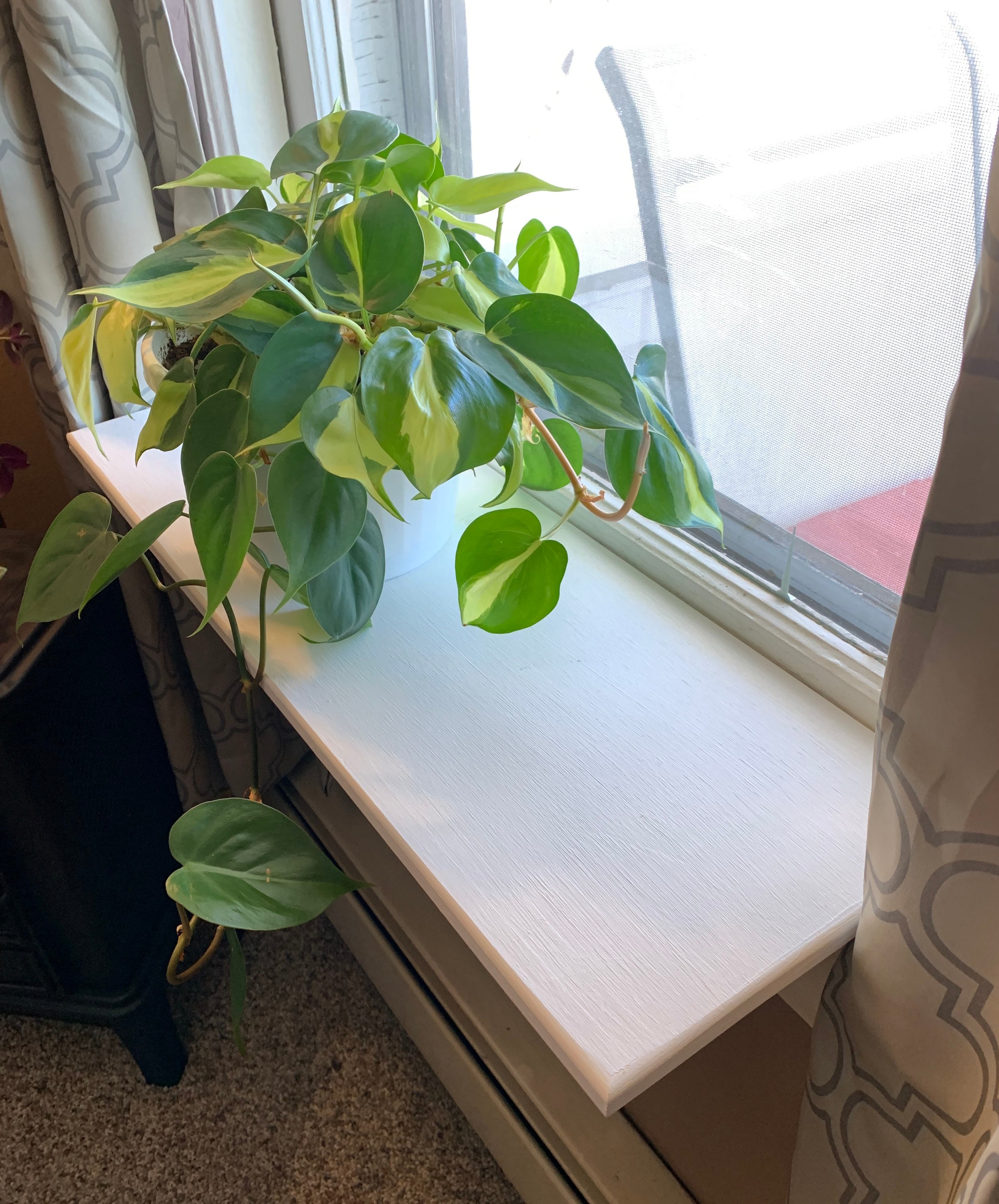 White Window Sill Shelf Wooden Shelf for Plants Floating - Etsy