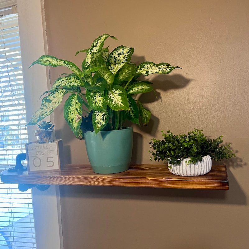 Window Plant Shelf - Etsy