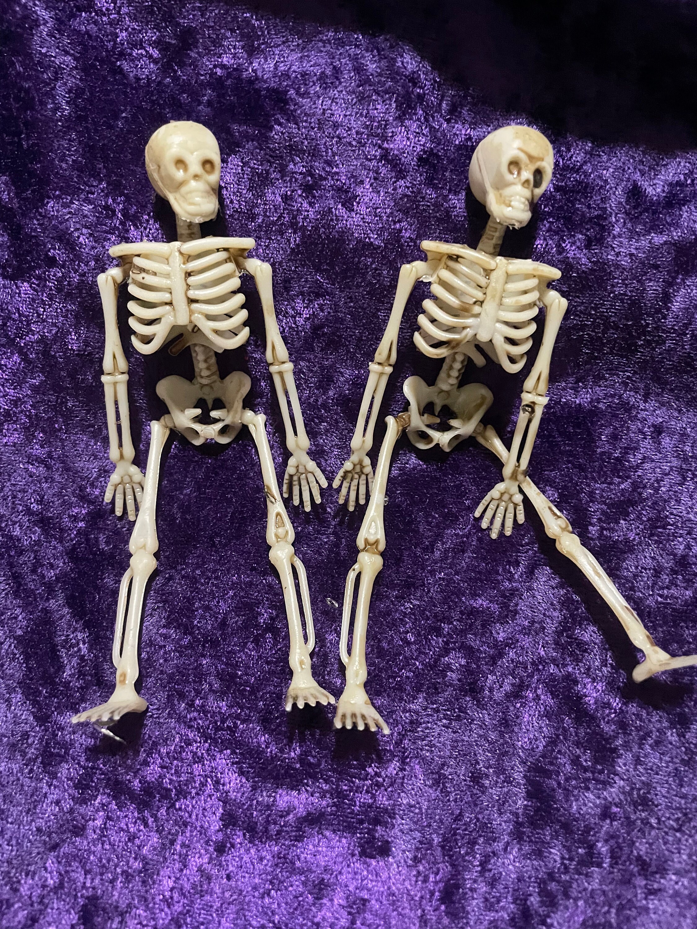 Lot of 6 New Plastic Halloween Cemetery Skeletons 6” Tall - Etsy