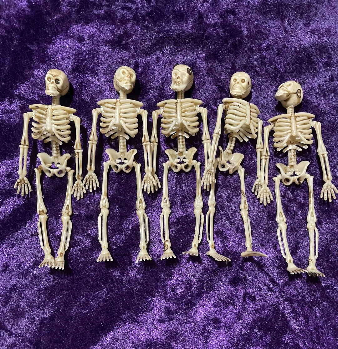 Lot of 6 New Plastic Halloween Cemetery Skeletons 6” Tall - Etsy