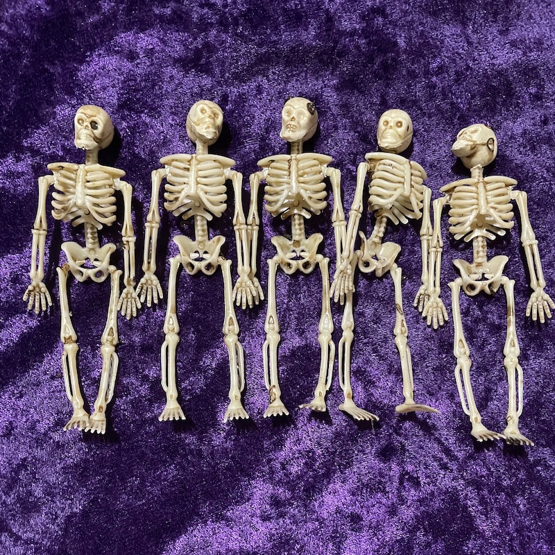 Tiny Skeleton - Etsy