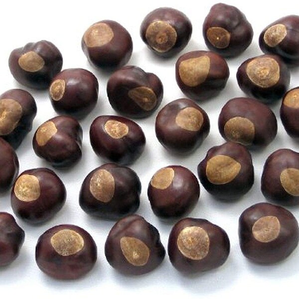 Buckeye Tree - Etsy